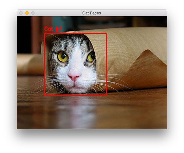 用OpenCV-PyImageSearch检测图像中的猫