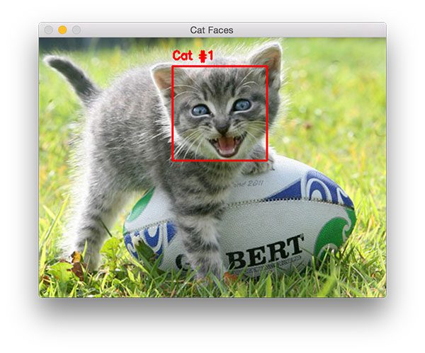 用OpenCV-PyImageSearch检测图像中的猫