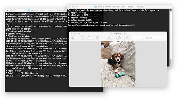 可扩展的keras +深度学习休息api - pyimagesearch