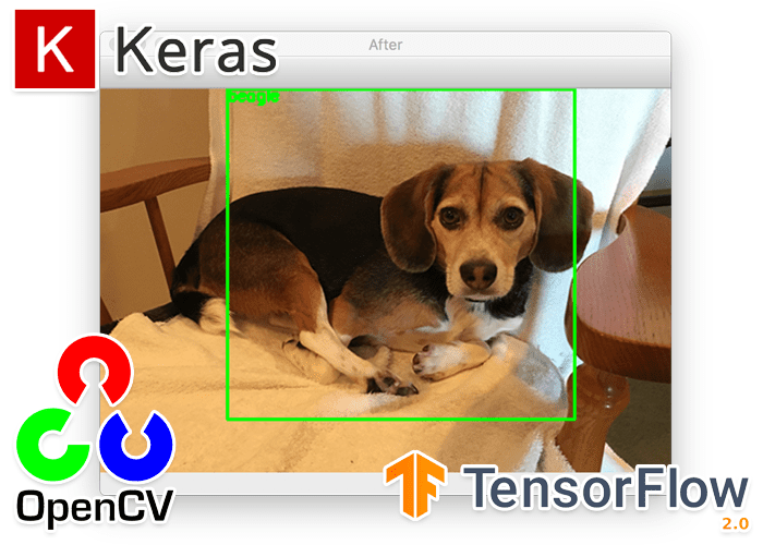 区域建议对象检测与OpenCV, Keras，和TensorFlow - PyImageSearch