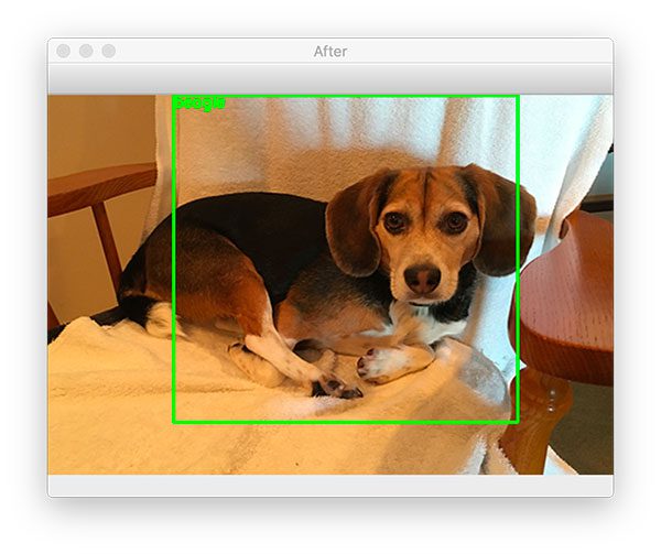 区域建议对象检测与opencv Keras，和tensorflow Pyimagesearch